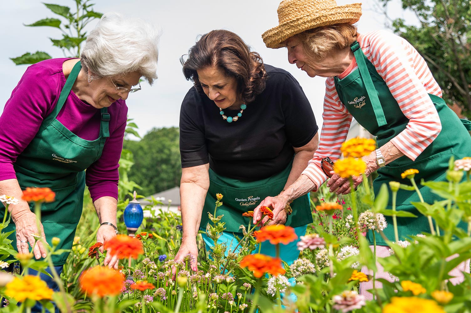 Photo & Video Gallery | Cedarfield