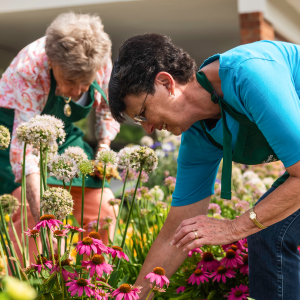 Pathways to Wellness | Cedarfield Richmond