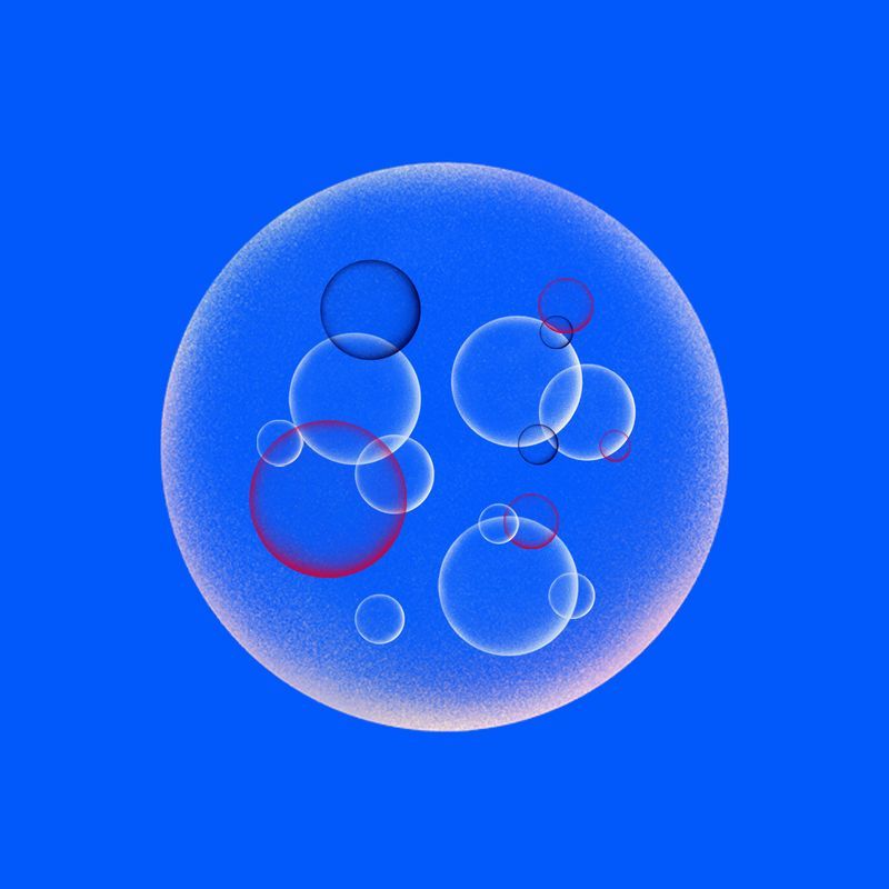 Edonia | Unlocking Microalgae potential | Protein Ingredients