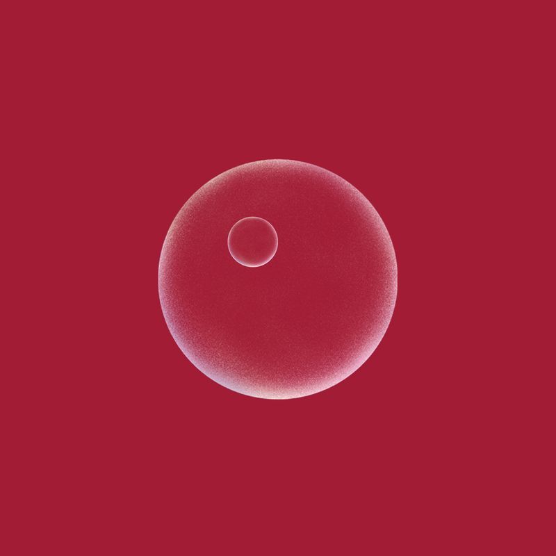 Edonia | Unlocking Microalgae potential | Protein Ingredients