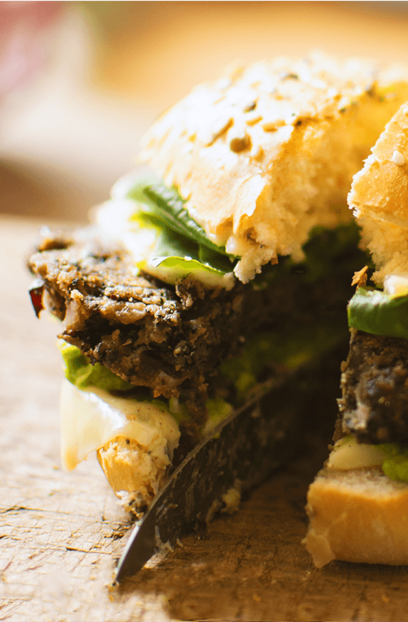 Edonia | Unlocking Microalgae potential | Protein Ingredients