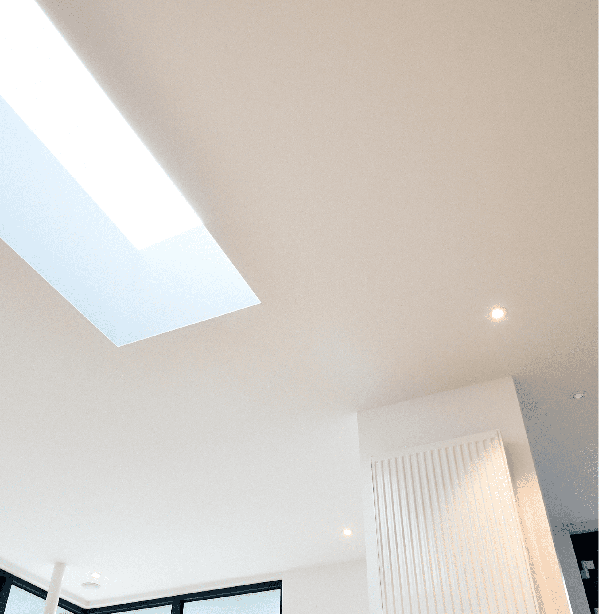 Skylight / Ceiling Remodel - Project Details