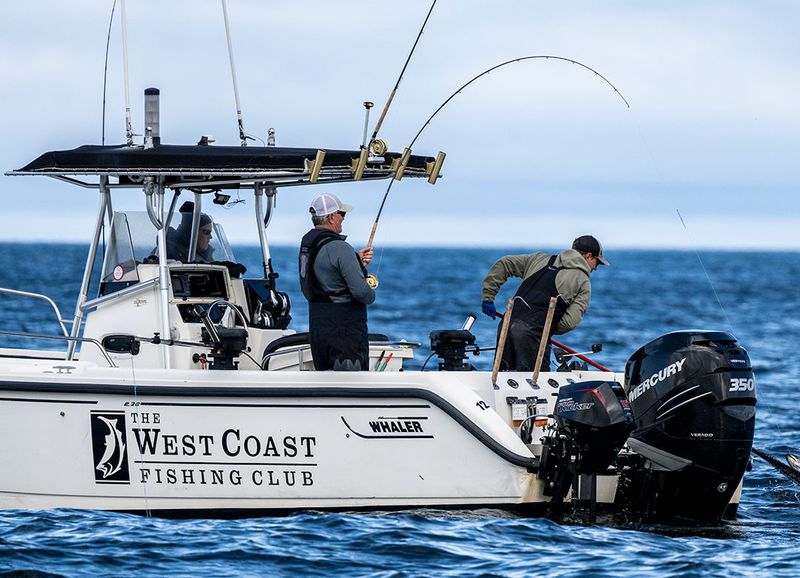 Salmon & Halibut Fishing Charters | West Coast Fishing Club