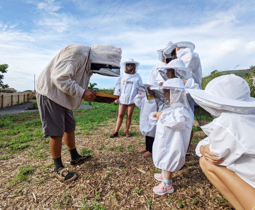 Discover the exciting world of the honeybee on a Maui Bee Tour