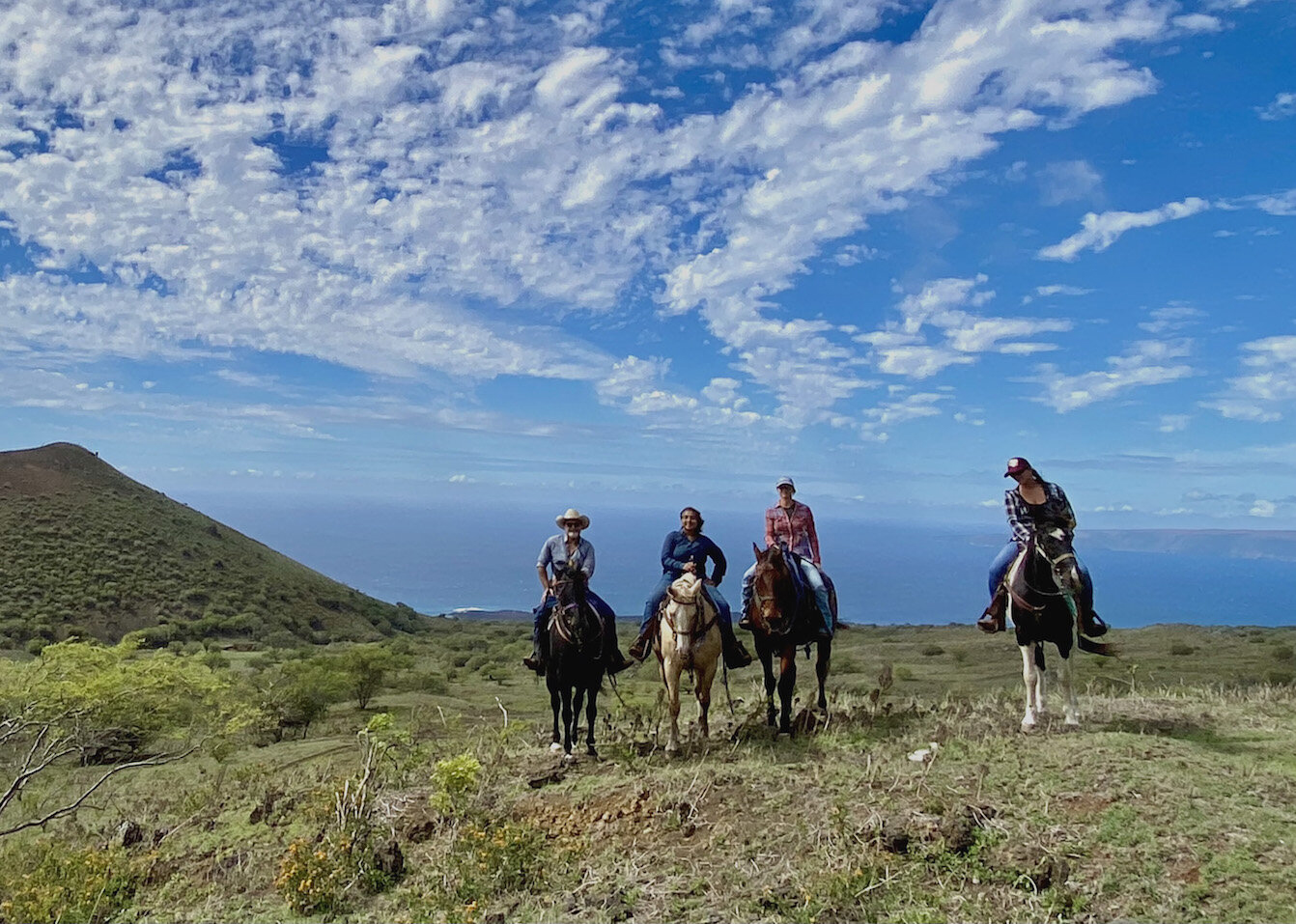 Triple L Ranch Horseback announces Healing Hearts Equine-Assisted ...