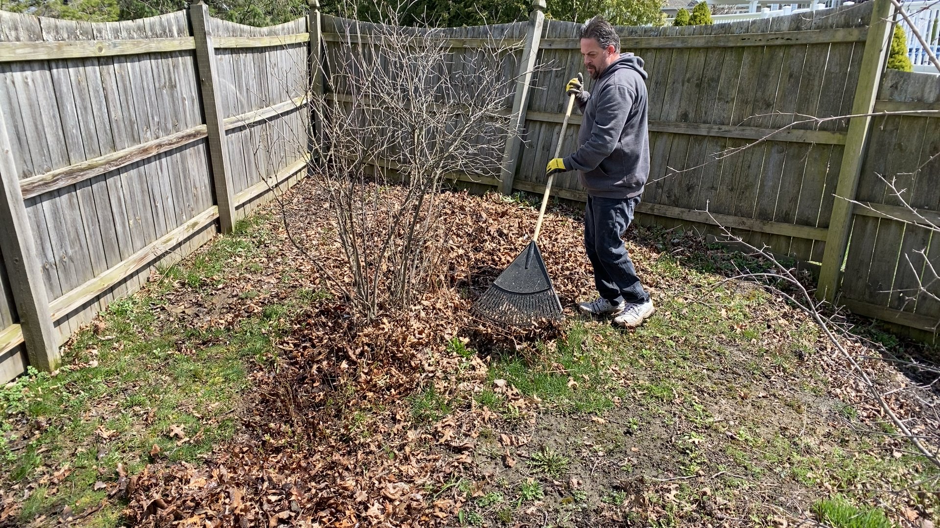 The Best Fall and Spring Clean Up Service in Western New York | SunRise ...