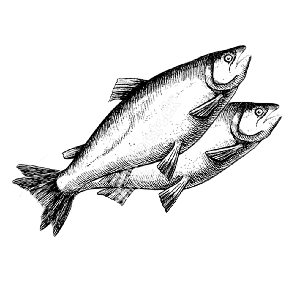 Adlerfisch: Leitfaden zu Geschmack, Kauf und Zubereitung