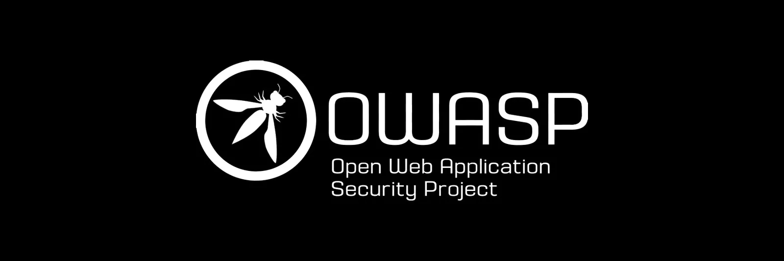 Wat is OWASP Top-10? Een gids voor veilige websites