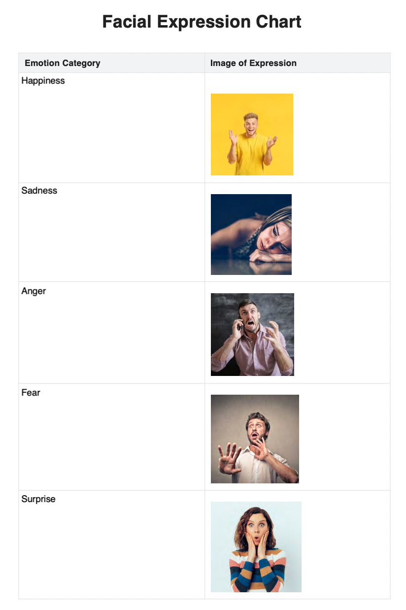 Emotions And Facial Expressions Chart