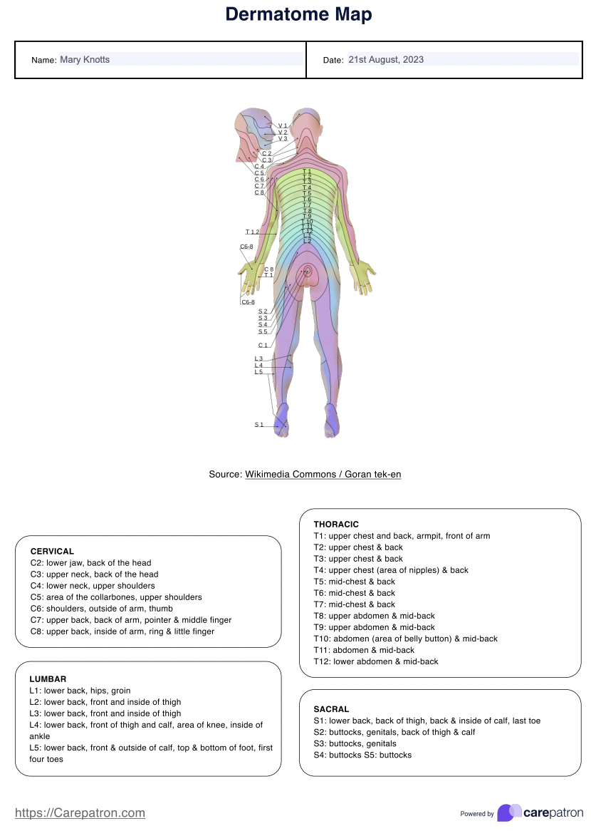 Dermatomes Of The Arm