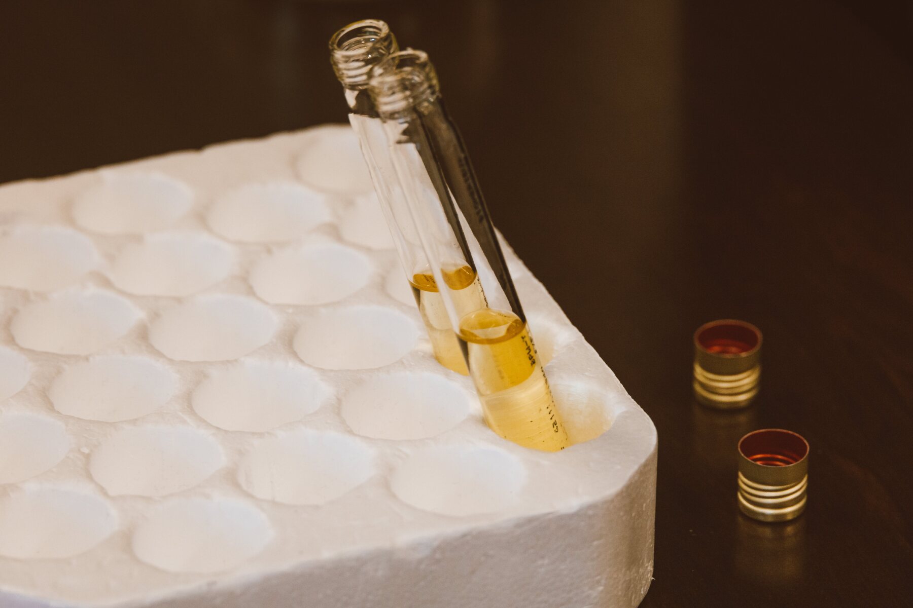 Ketone Test & Example | Free PDF Download