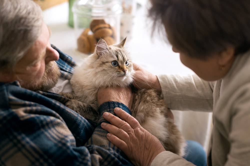 Animal Therapy in Home Care