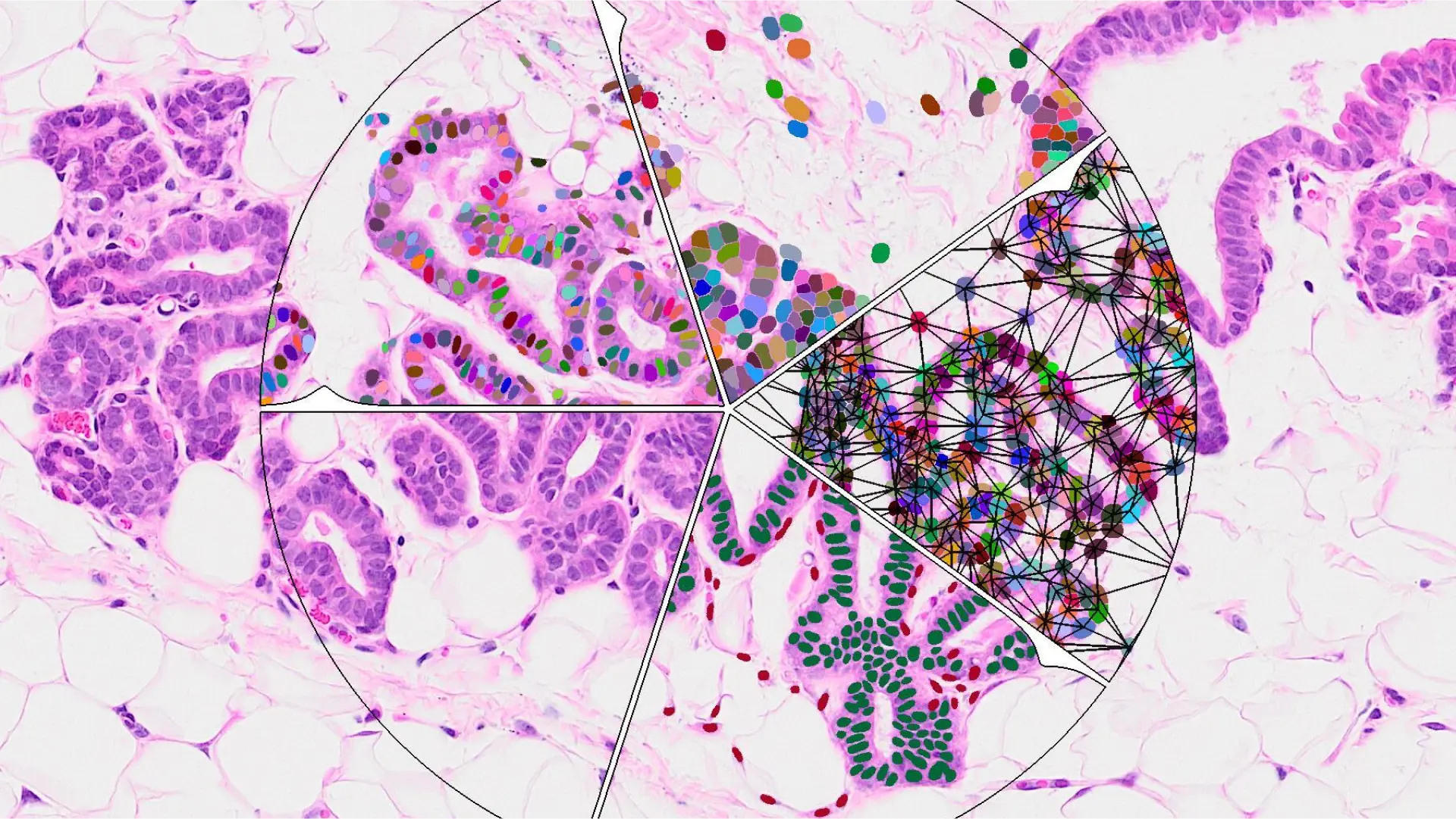 Imaging Tools & Resources for EPFL Scientists Imaging Tools & Resources for EPFL Scientists