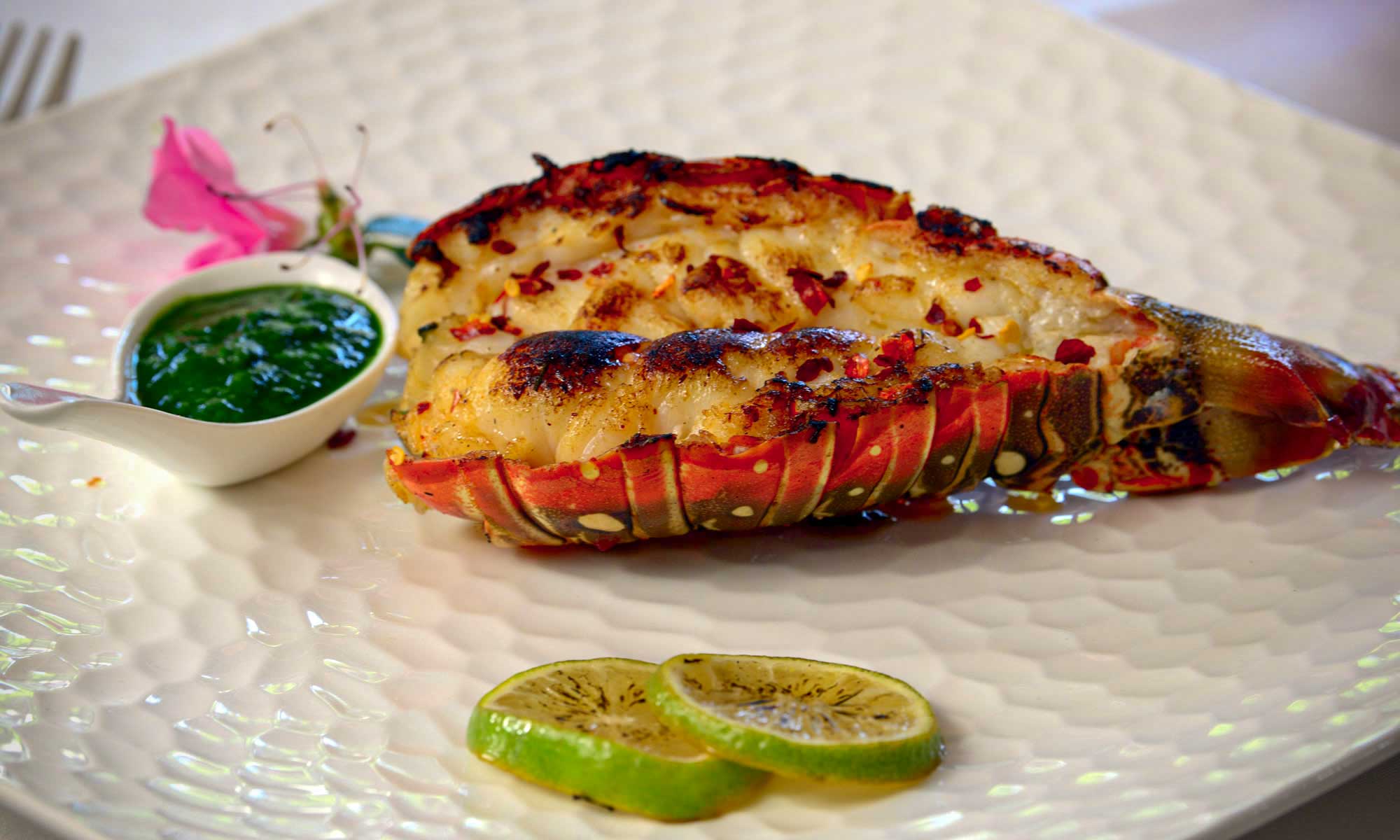 Mango Lounge Windsor | Award Winning Indian Restaurant | Indian Food