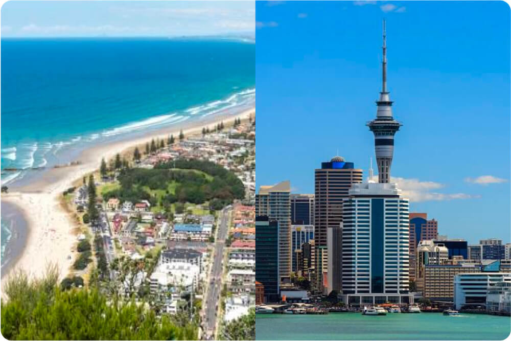 About Loaded | Loaded Reports