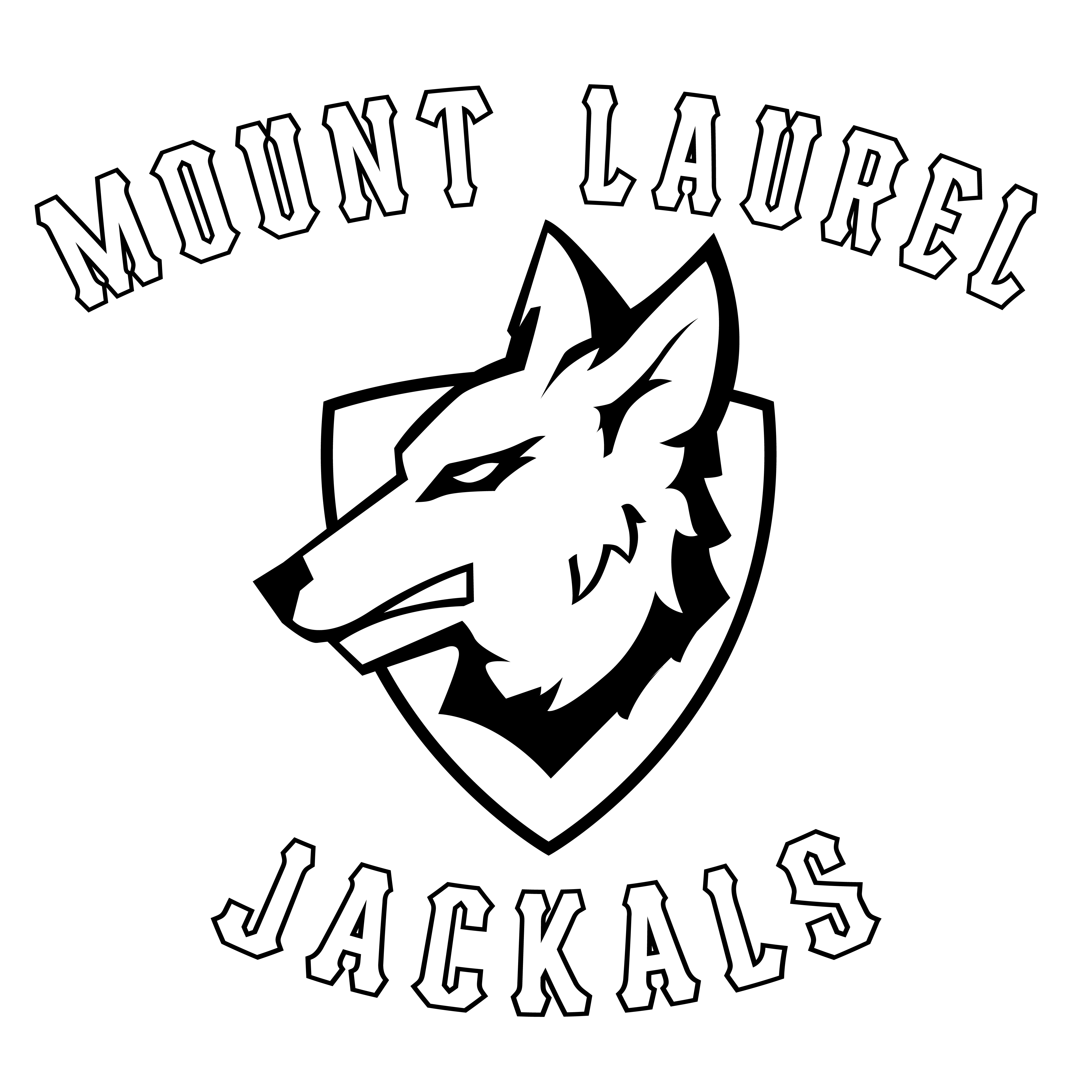 Igloo Ice Rink - Hockey