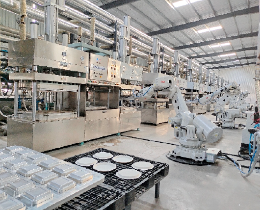 Custom Molded Fiber Tailored Packaging Solutions