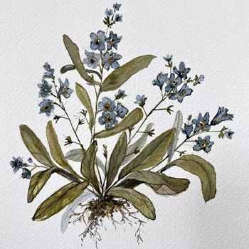 About Us | Pursell Farms