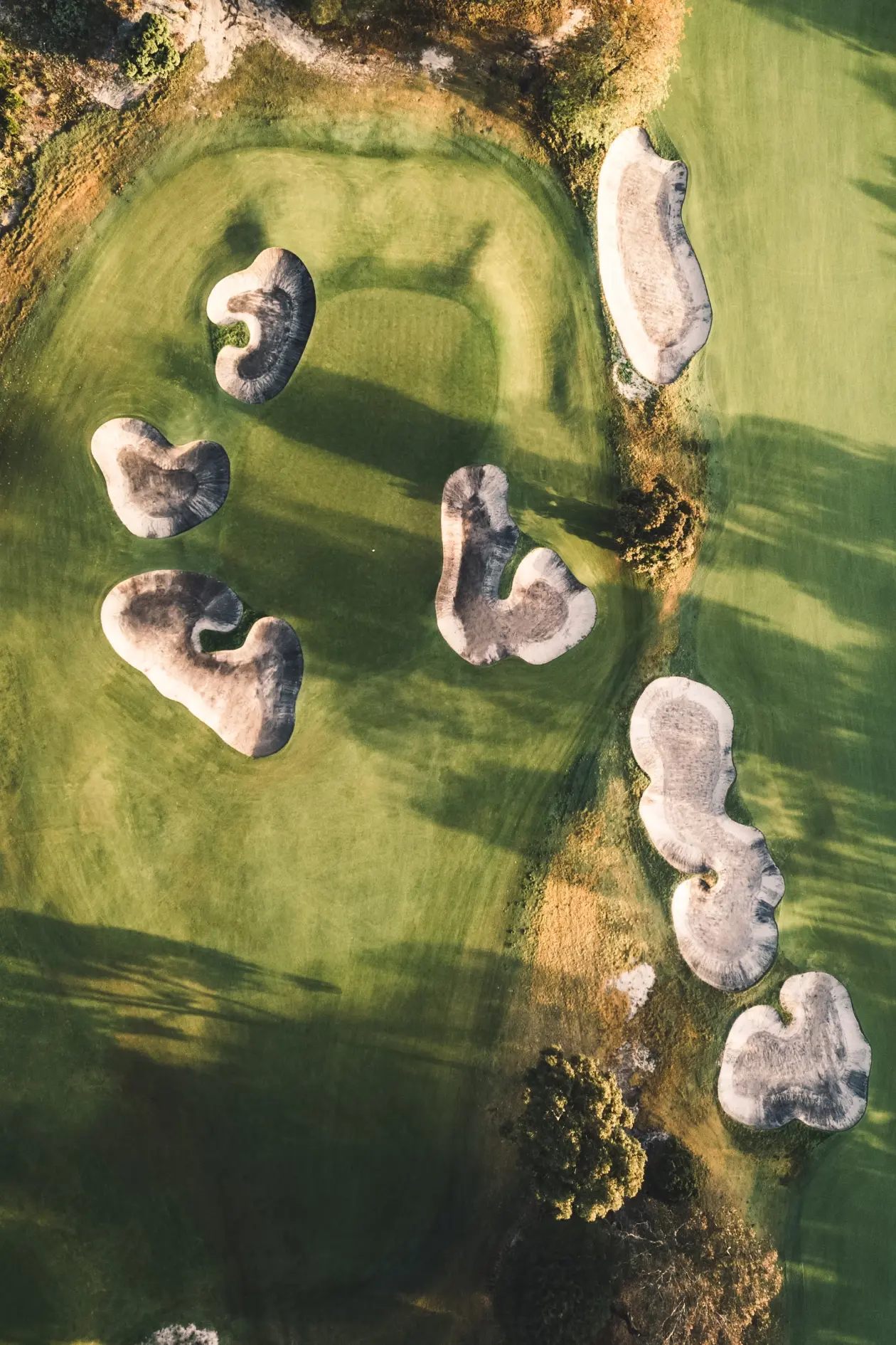 Best Alabama Golf Course | Farmlinks at Pursell Farms