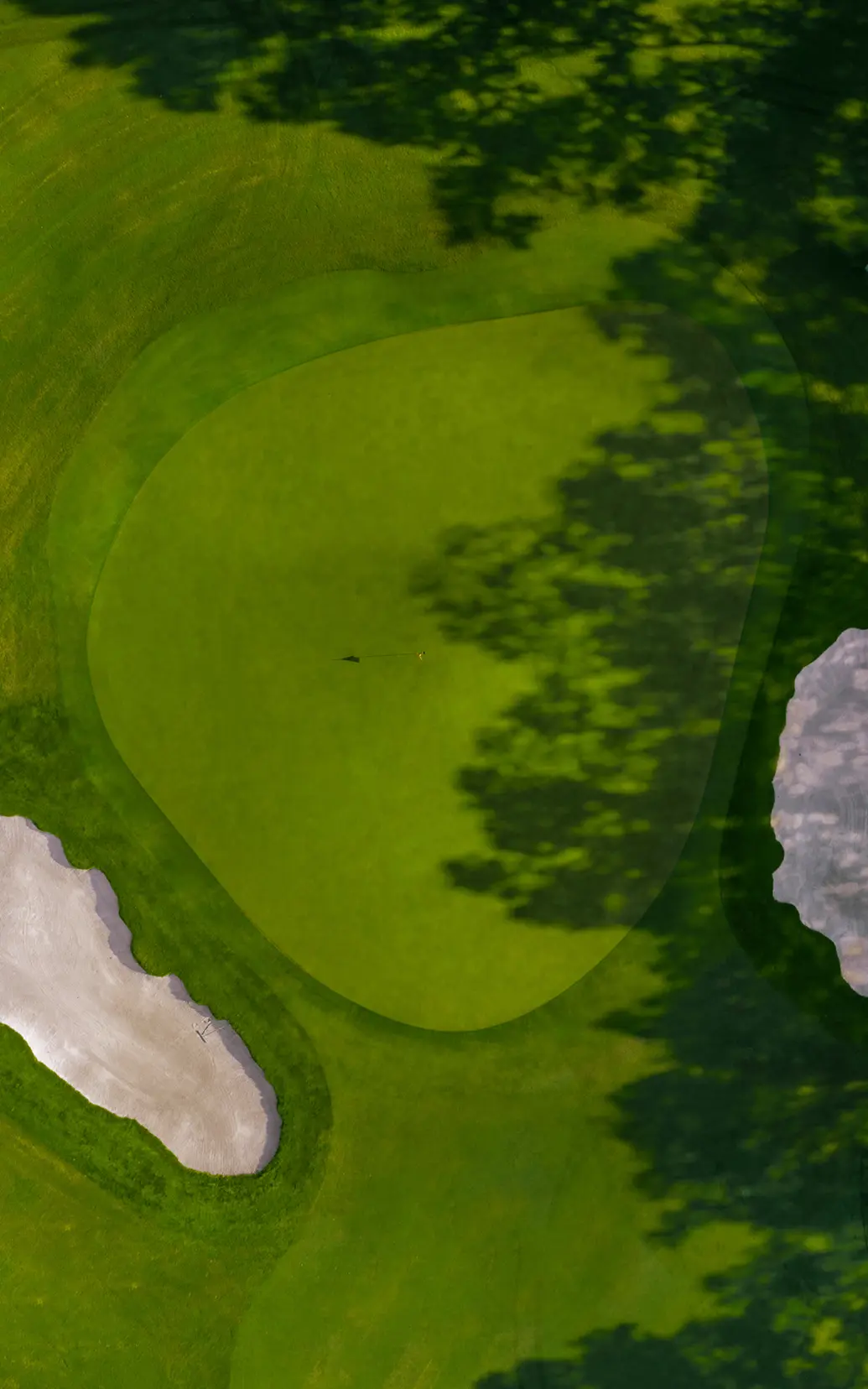 Best Alabama Golf Course | Farmlinks at Pursell Farms