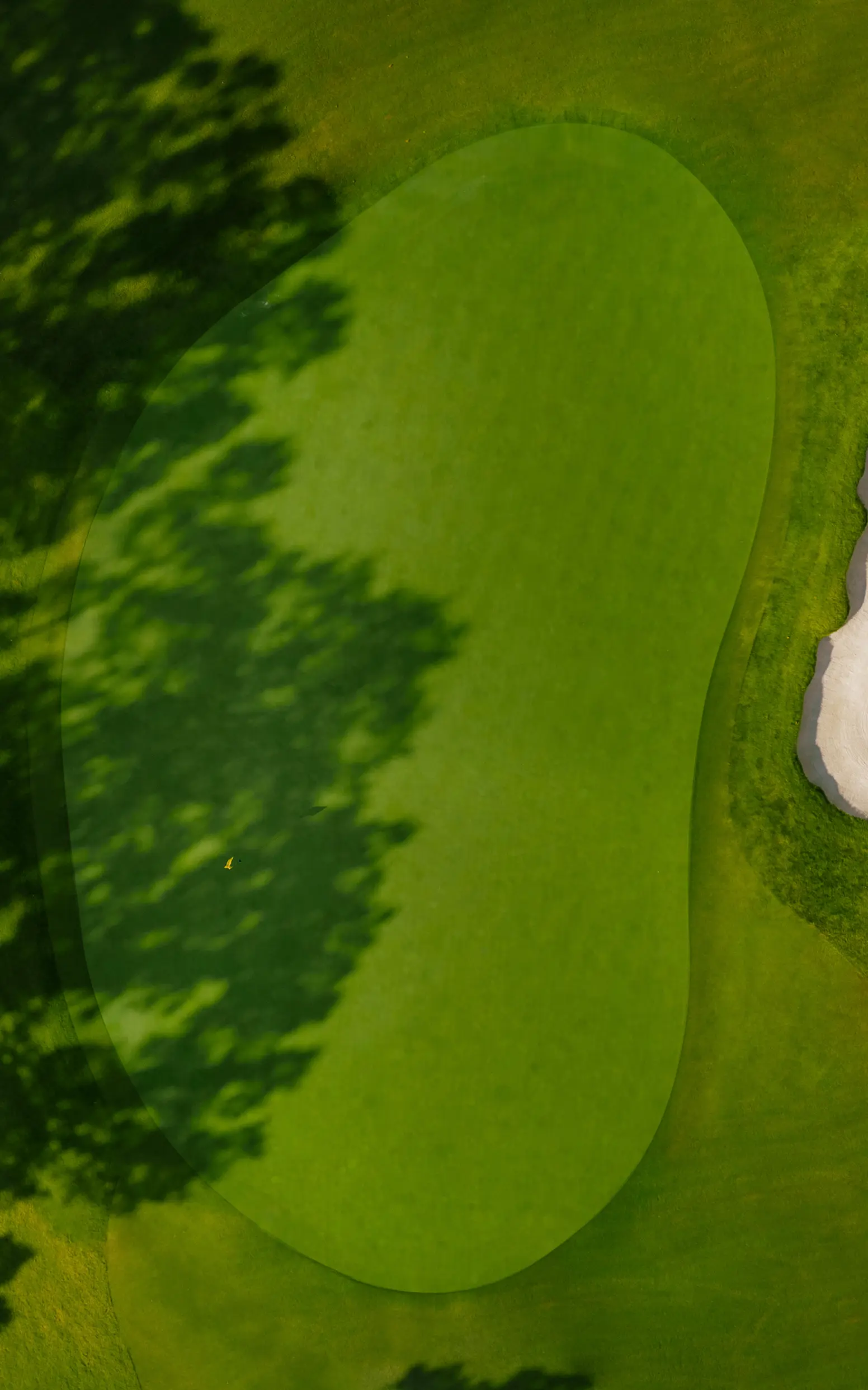 Best Alabama Golf Course | Farmlinks at Pursell Farms