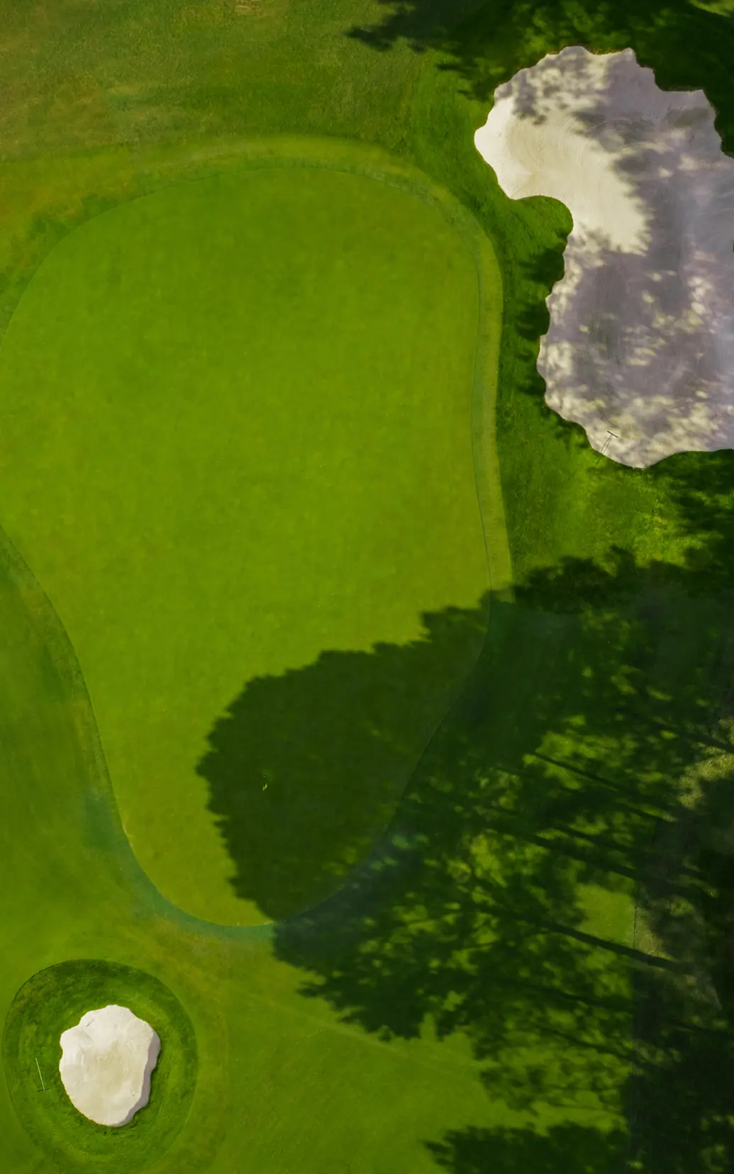 Best Alabama Golf Course | Farmlinks at Pursell Farms