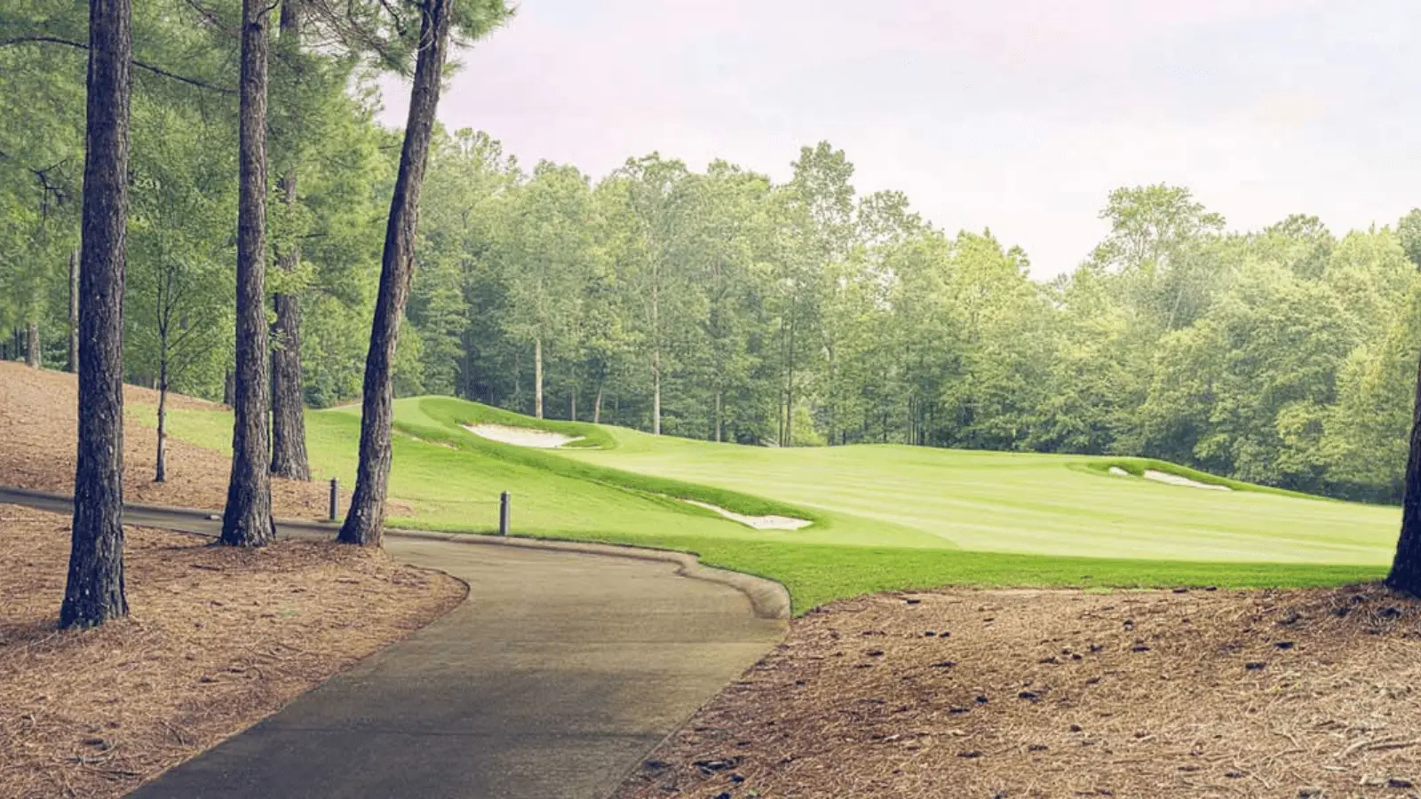 What Should You Look for in Golf Vacation Packages | Pursell Farms