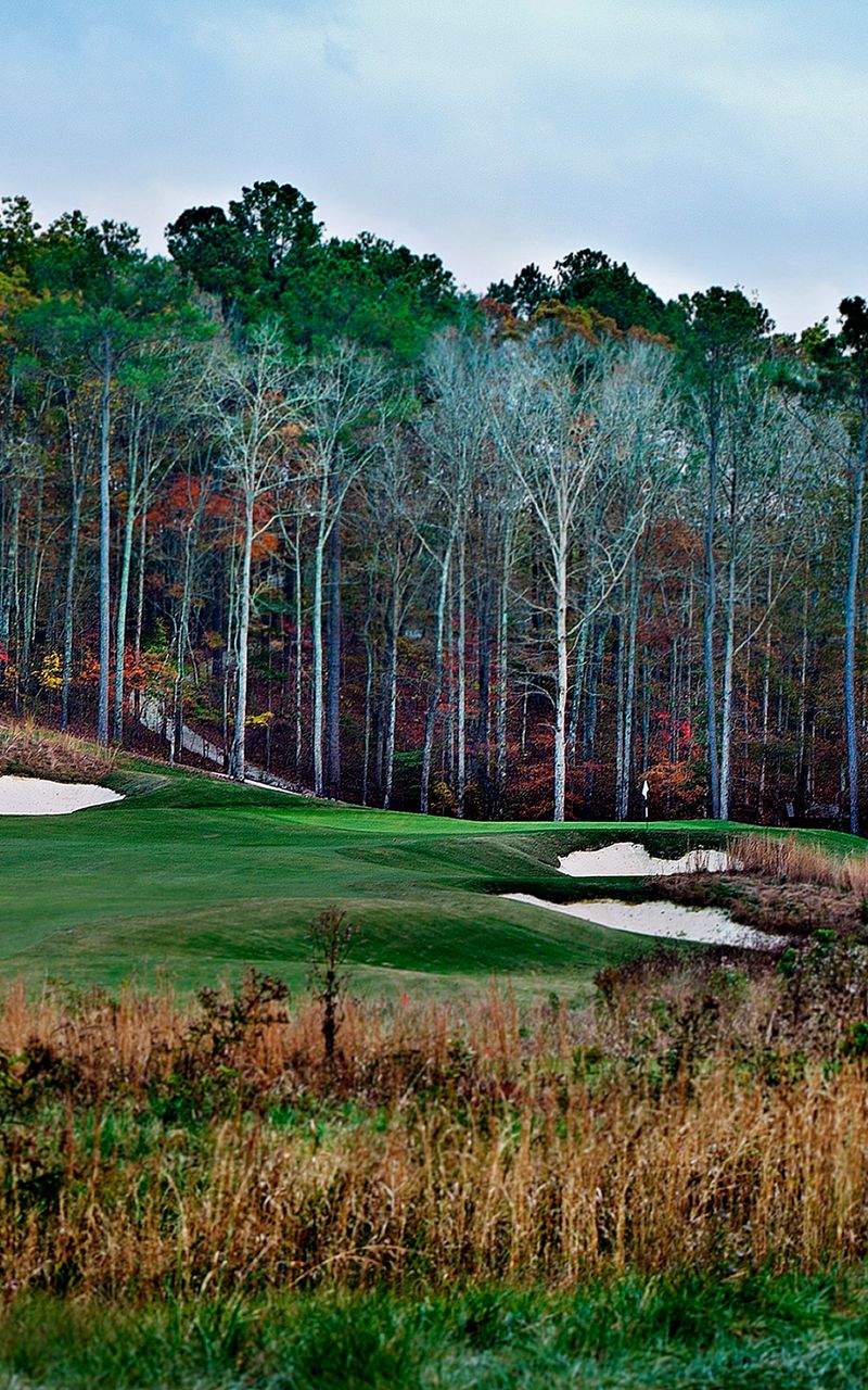 Best Alabama Golf Course | Farmlinks at Pursell Farms