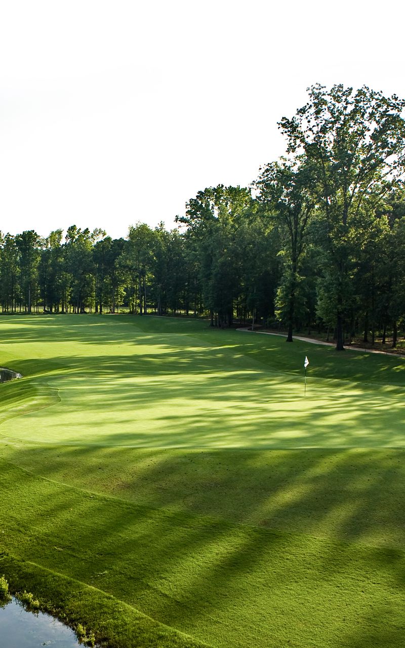 Best Alabama Golf Course | Farmlinks at Pursell Farms
