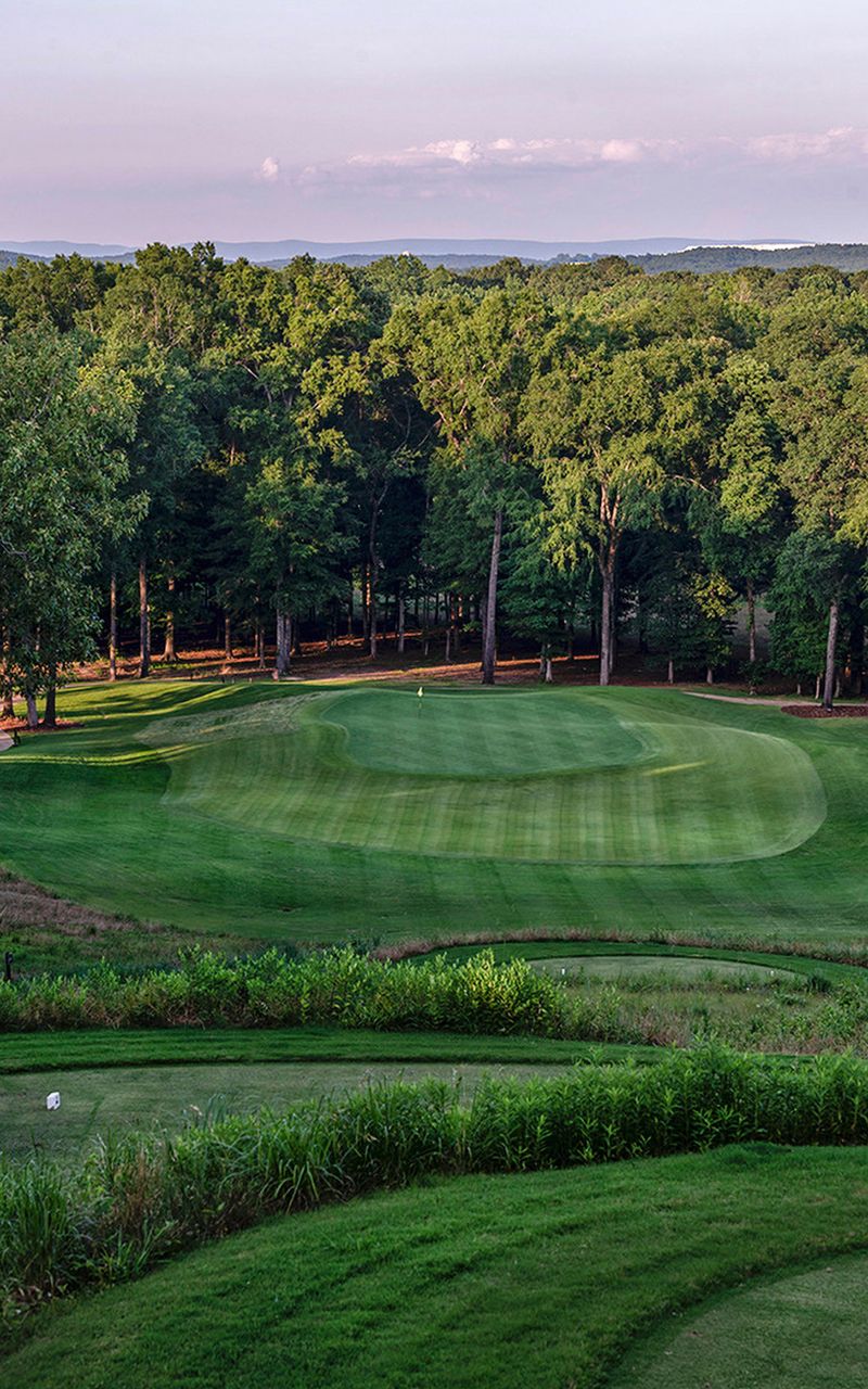 Best Alabama Golf Course | Farmlinks at Pursell Farms