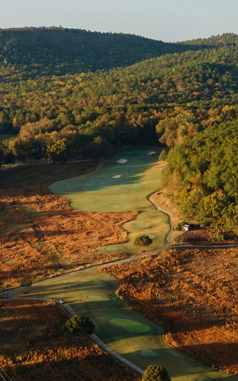 Best Alabama Golf Course | Farmlinks at Pursell Farms