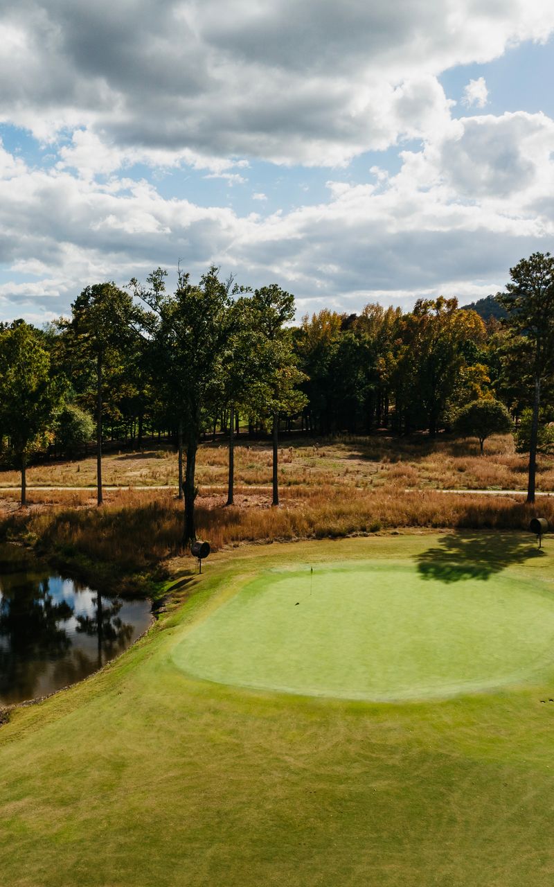 Best Alabama Golf Course | Farmlinks at Pursell Farms