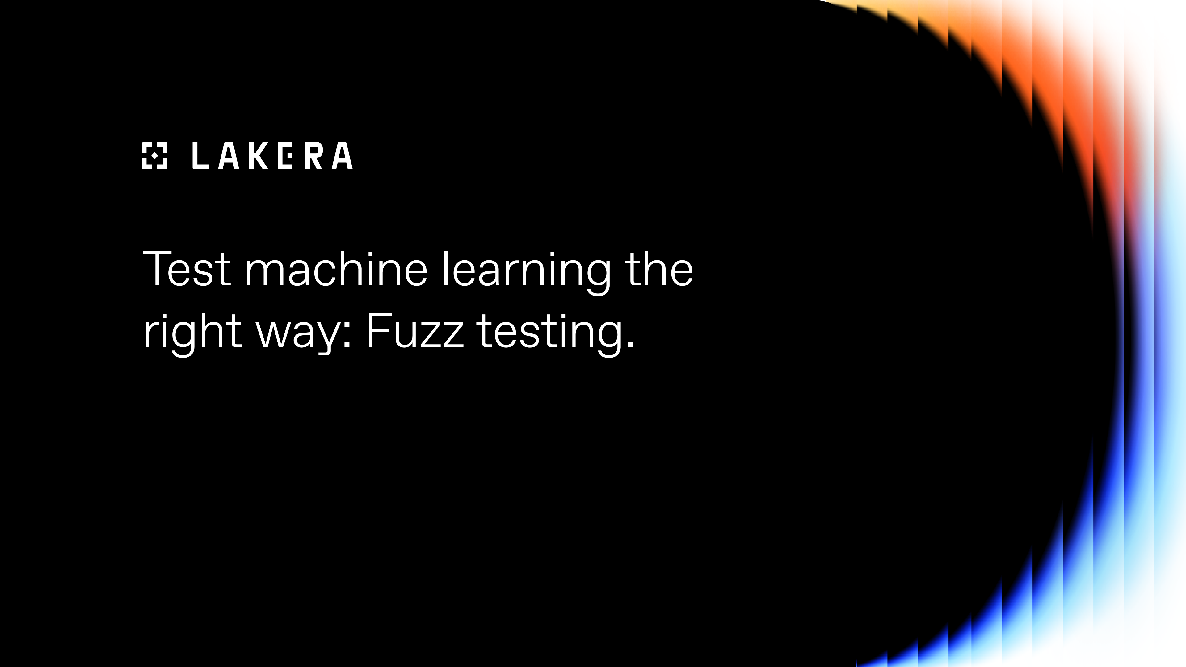 Test machine learning the right way: Fuzz testing. | Lakera ...
