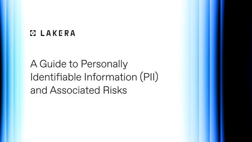 A Guide to Personally Identifiable Information (PII) and Associated Risks | Lakera – Protecting ...