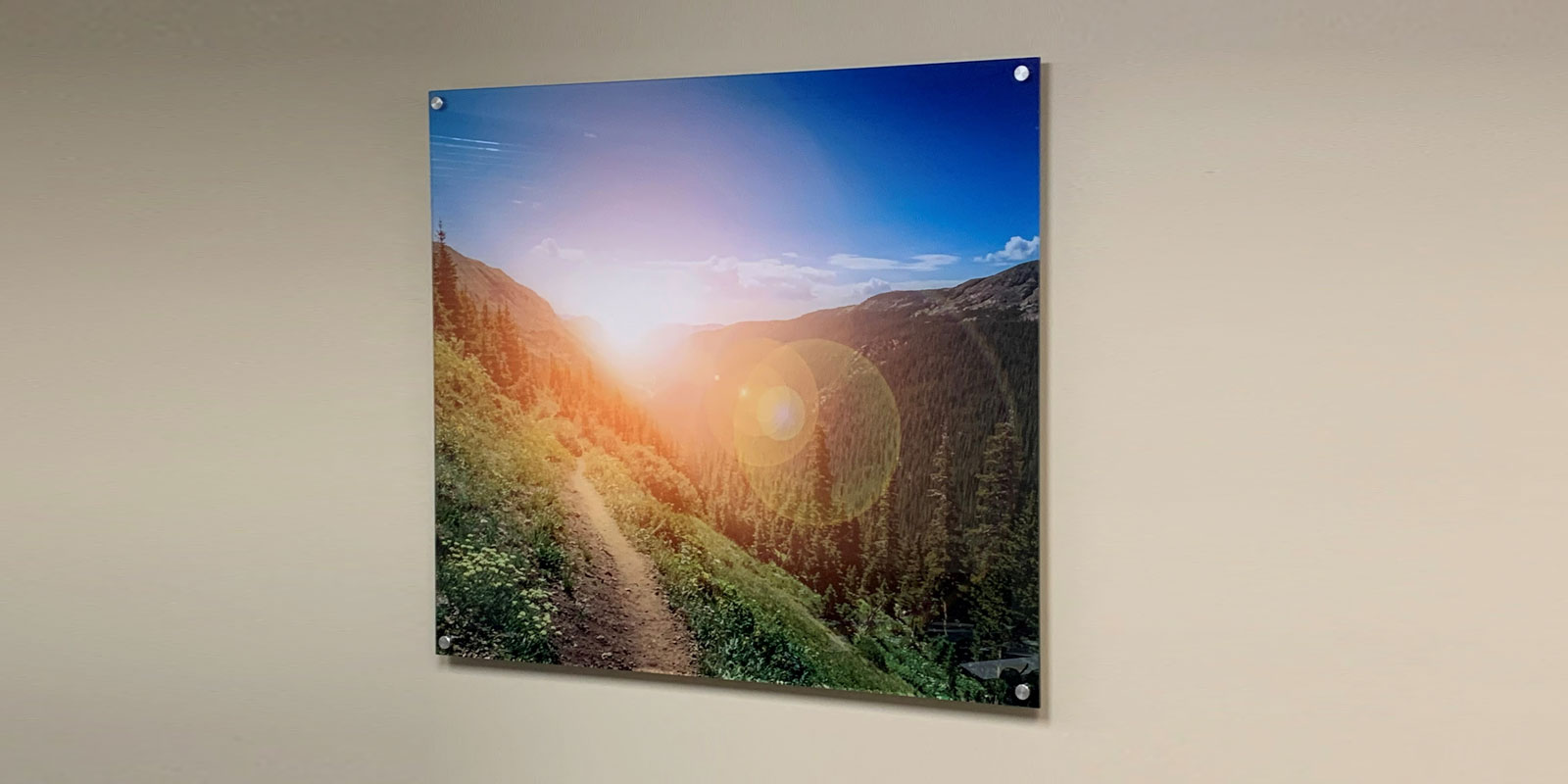 Small and Large Format Printing | The Digital Frontier