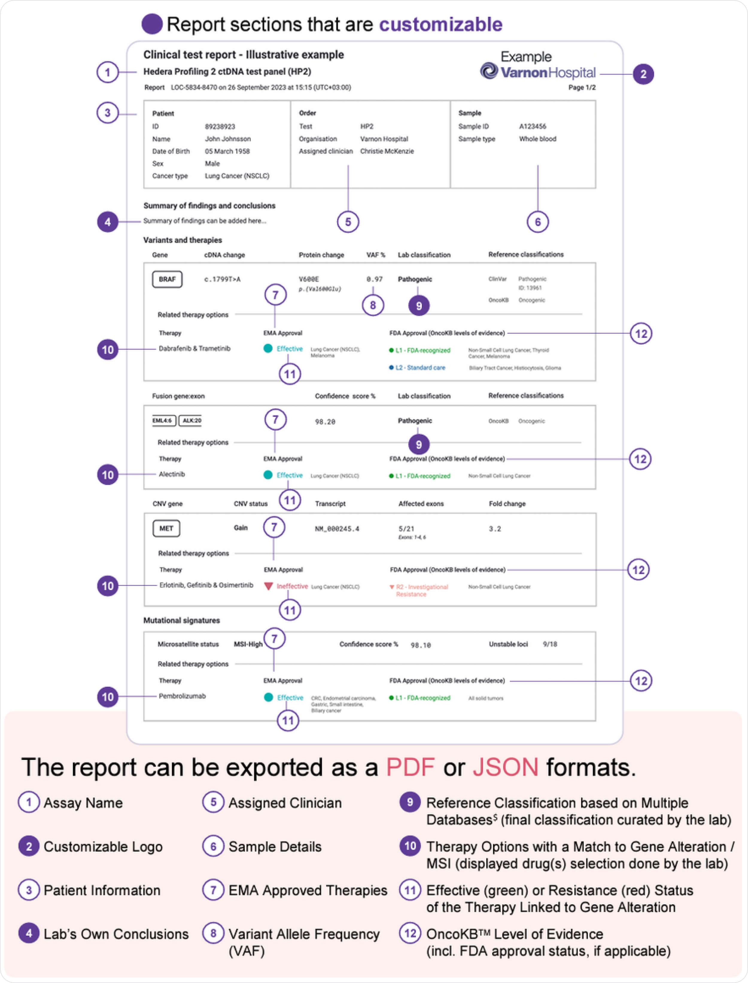 Hedera Dx | Hedera Prime