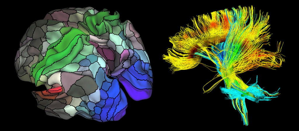 Science of the Noosphere