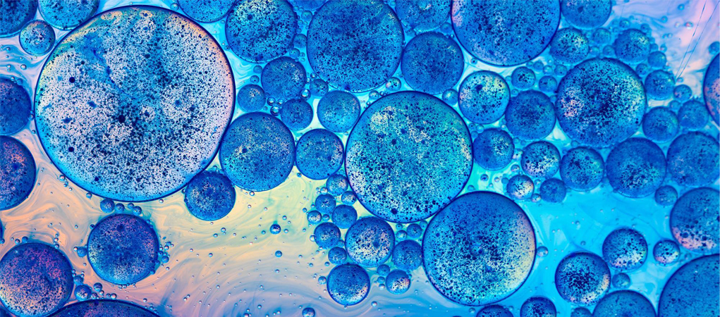 Science of the Noosphere