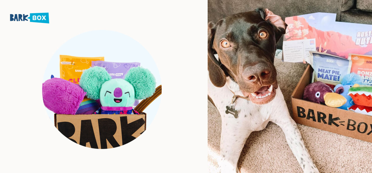 What is D2C? Your Complete Guide [Meaning and Examples]