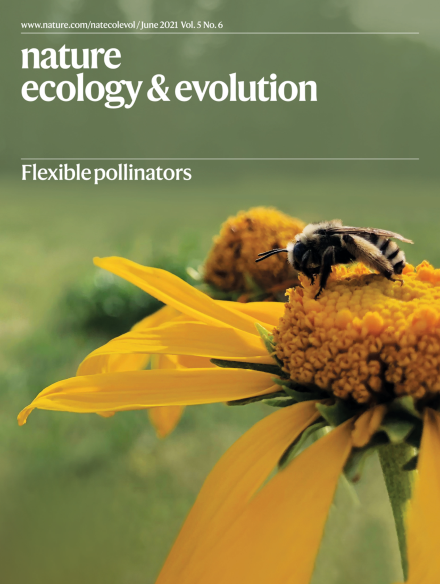 Publications | Terrer Lab MIT