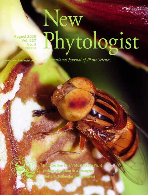 Publications | Terrer Lab MIT