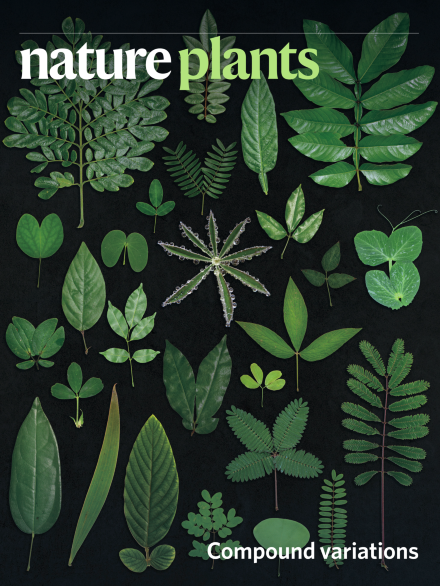 Publications | Terrer Lab MIT