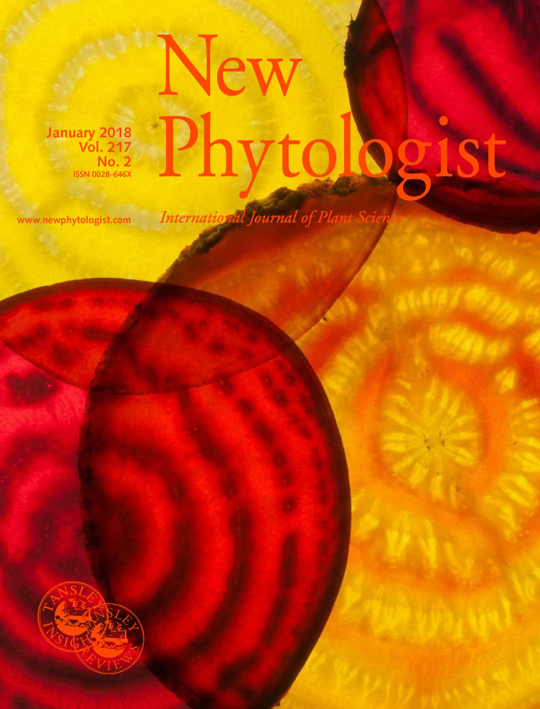 Publications | Terrer Lab MIT