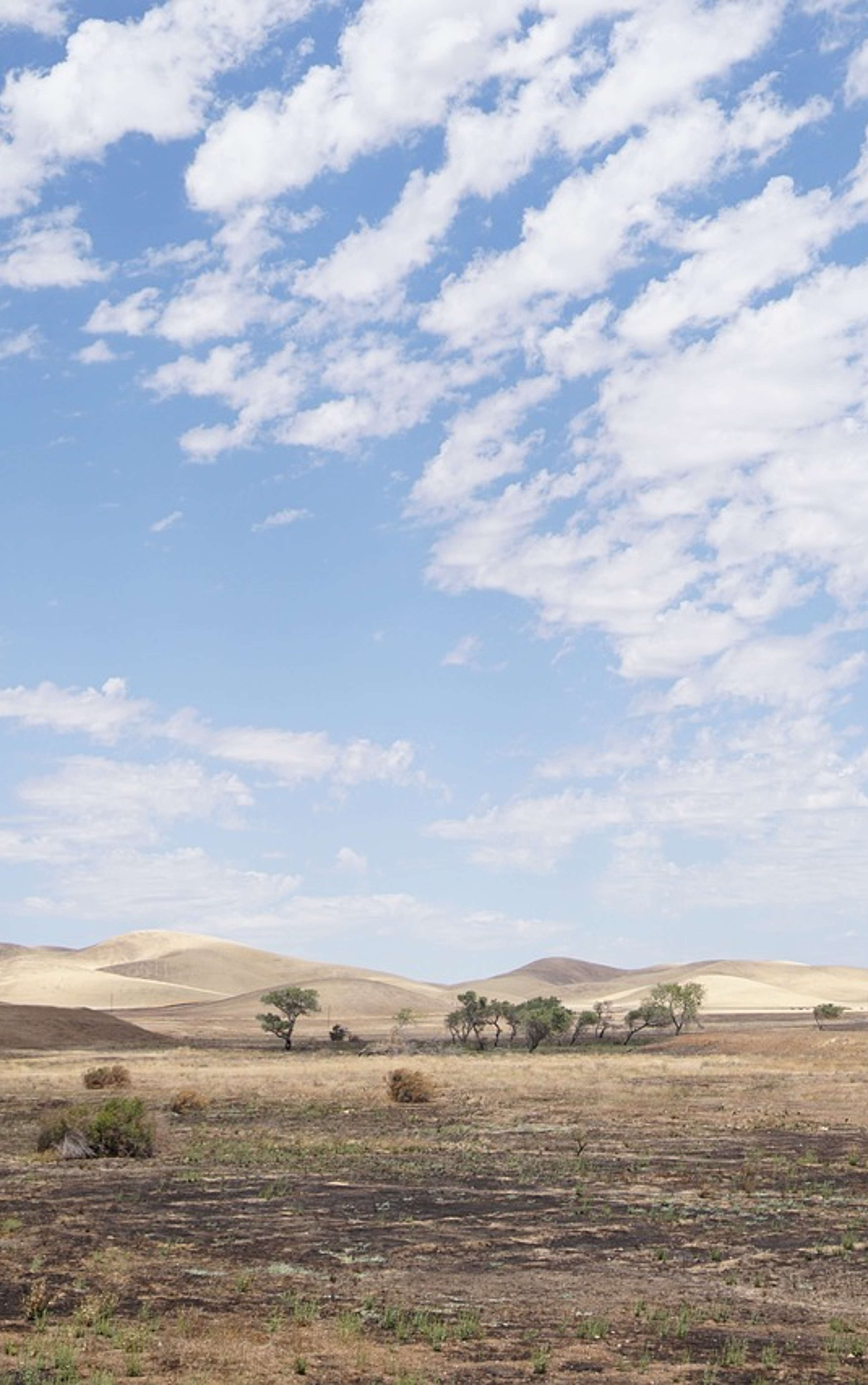 Terrer Lab | Climate + Ecology