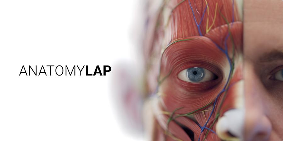 Veyond Metaverse Home