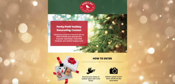 30 Promotional Giveaway Ideas to Differentiate Your Brand and Stand Out