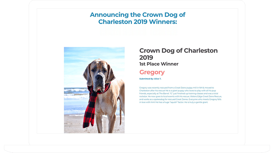 Charleston Dog Walker's Crown Dog of Charleston Contest: Success Story ...