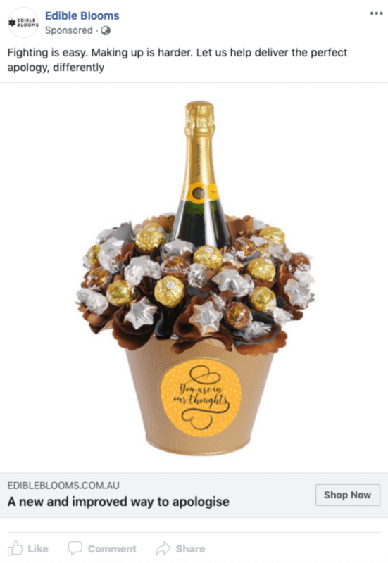 13 eCommerce Facebook Ad Examples: Stunning Images, Faces, Simplicity ...