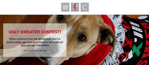 11 Creative Social Media Contest Ideas for Inspiration