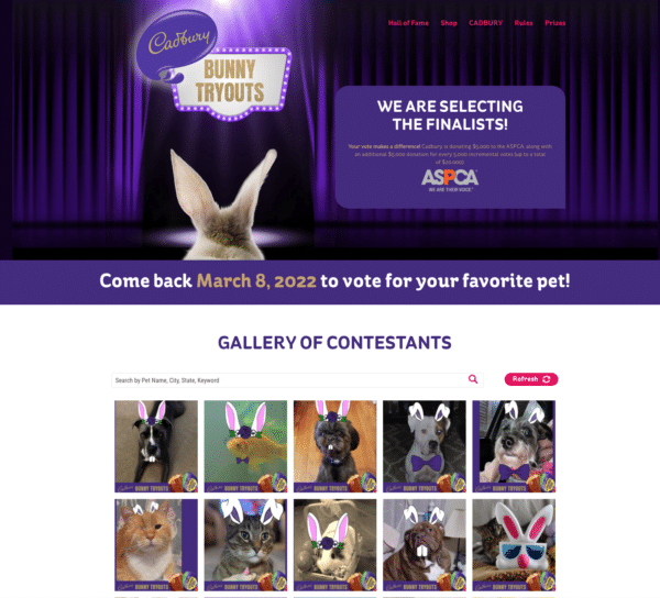 Drive Leads, Engage Customers, and Increase Brand Awareness with Contests